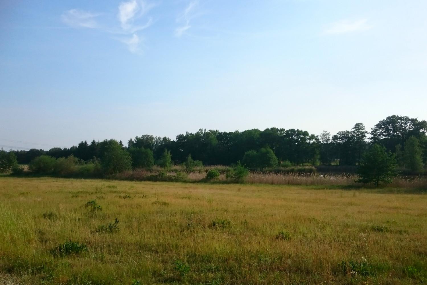 Ökosystem – Grasland - NATURNETWORK